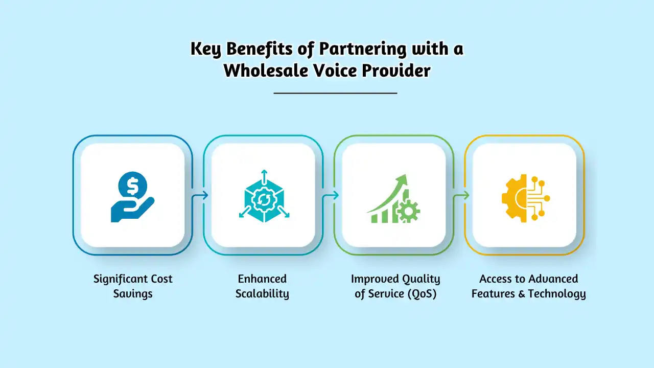 Wholesale Voice Provider: A Guide for Business Communicatio